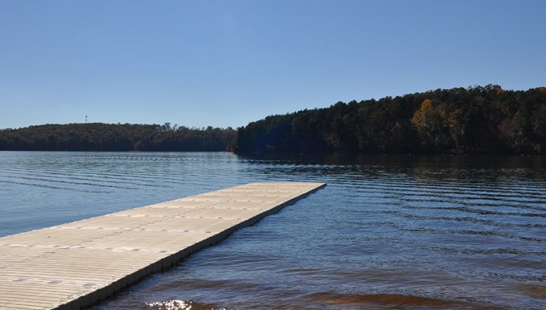 Low Profile Dock | 80" x 120" x 8" | EZ Dock