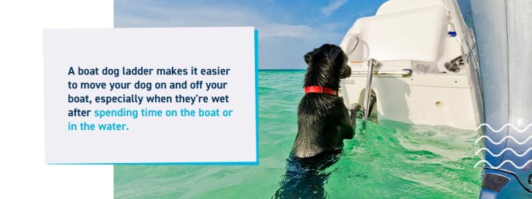 19 Best Gadgets for Your Boat | EZ Dock